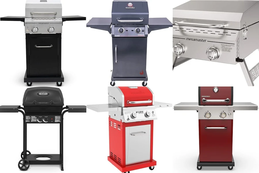 Best 2-Burner Gas Grills: Top 10 Picks